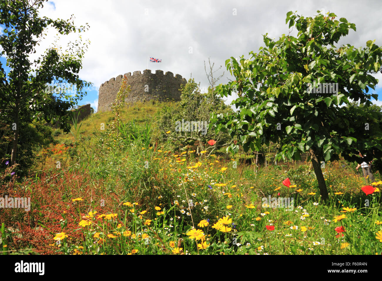 Trematon Castle Stock Photos & Trematon Castle Stock Images - Alamy
