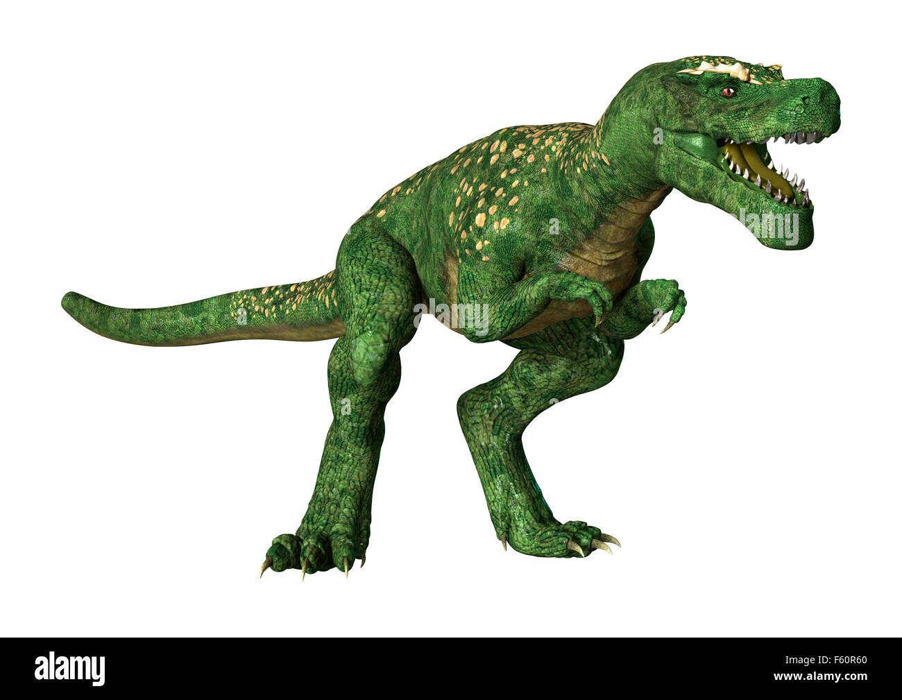 3D digital render of a dinosaur tyrannosaurus isolated on white ...