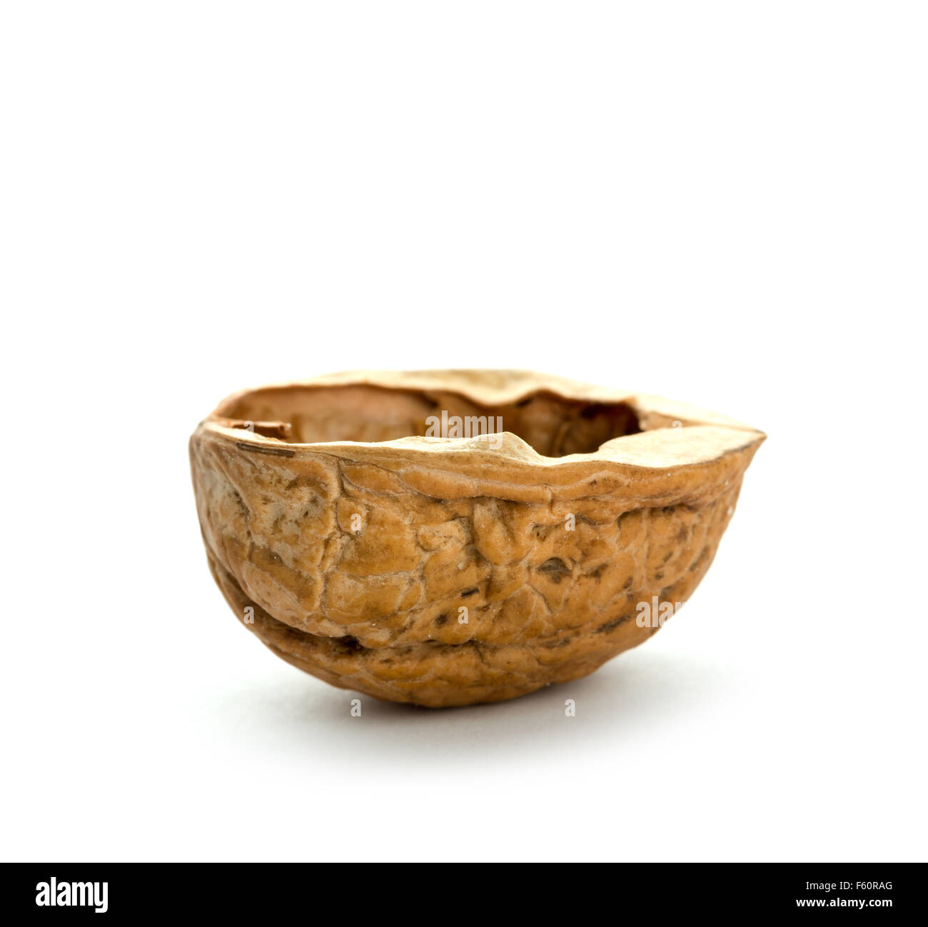 Walnut shell hi-res stock photography and images - Alamy