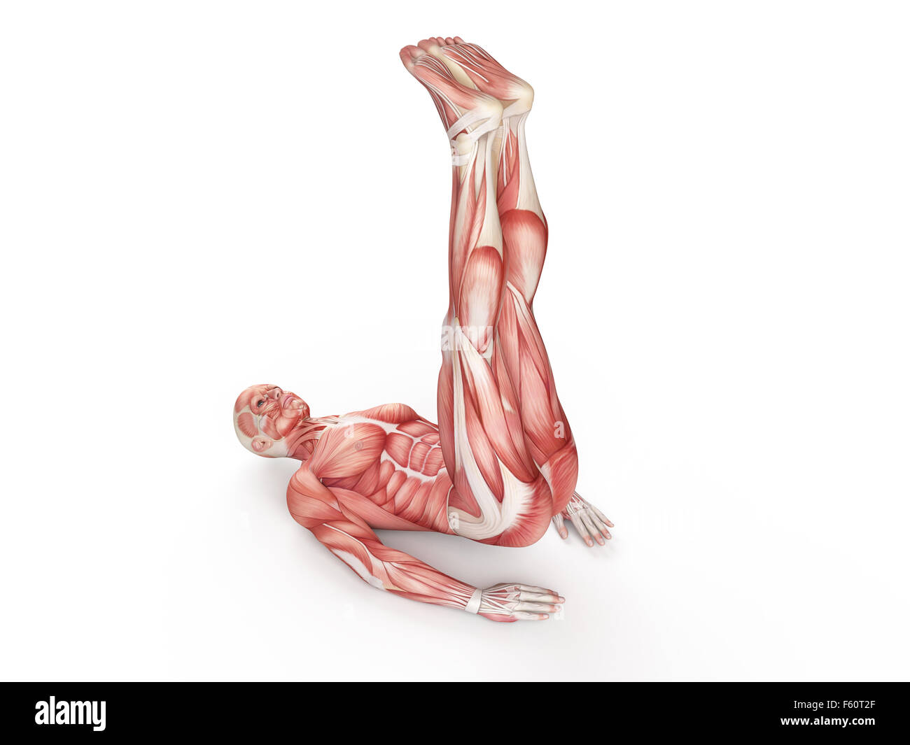 exercise illustration - pulse up Stock Photo - Alamy