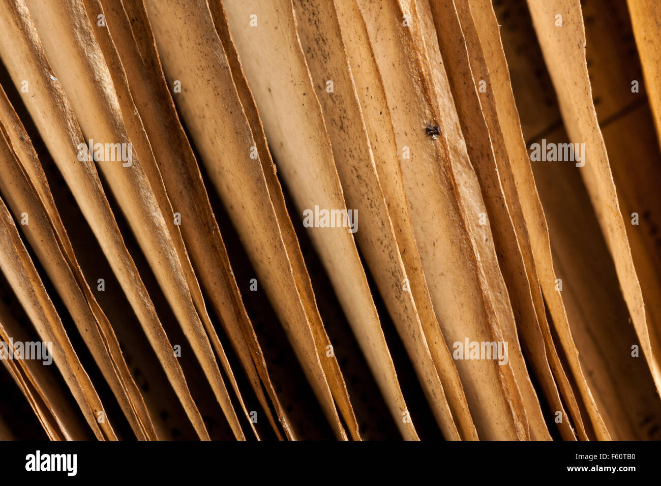 Macro of edges of the pages of old vintage book Stock Photo - Alamy