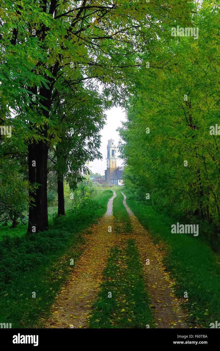 Veneto countryside, cycle tracks in the autumn Stock Photo - Alamy