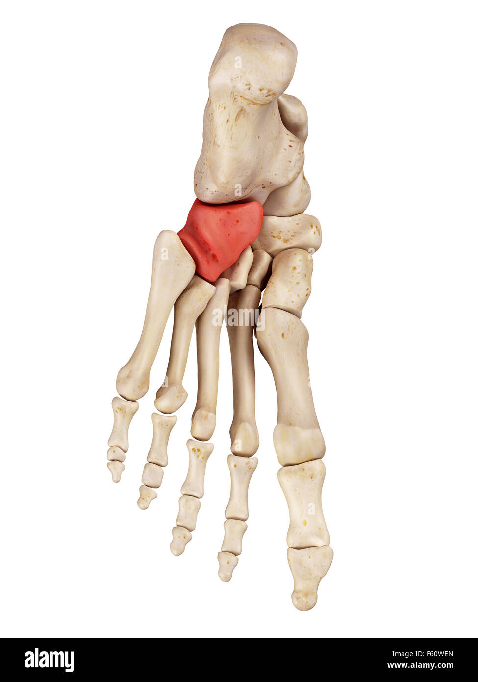 Cuboid hi-res stock photography and images - Alamy