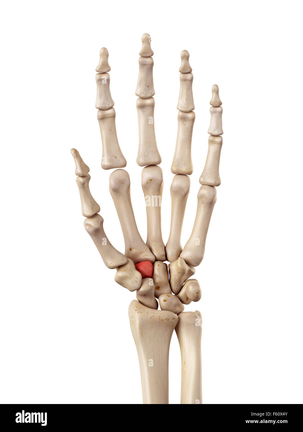 Trapezoid hi-res stock photography and images - Alamy