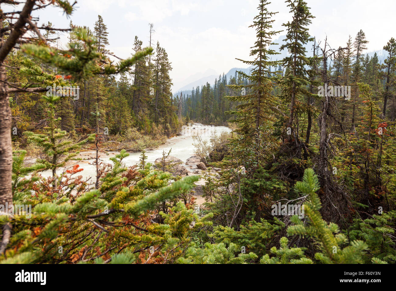 The Yoho River in Yoho National Park near Field British Columbia Canada ...