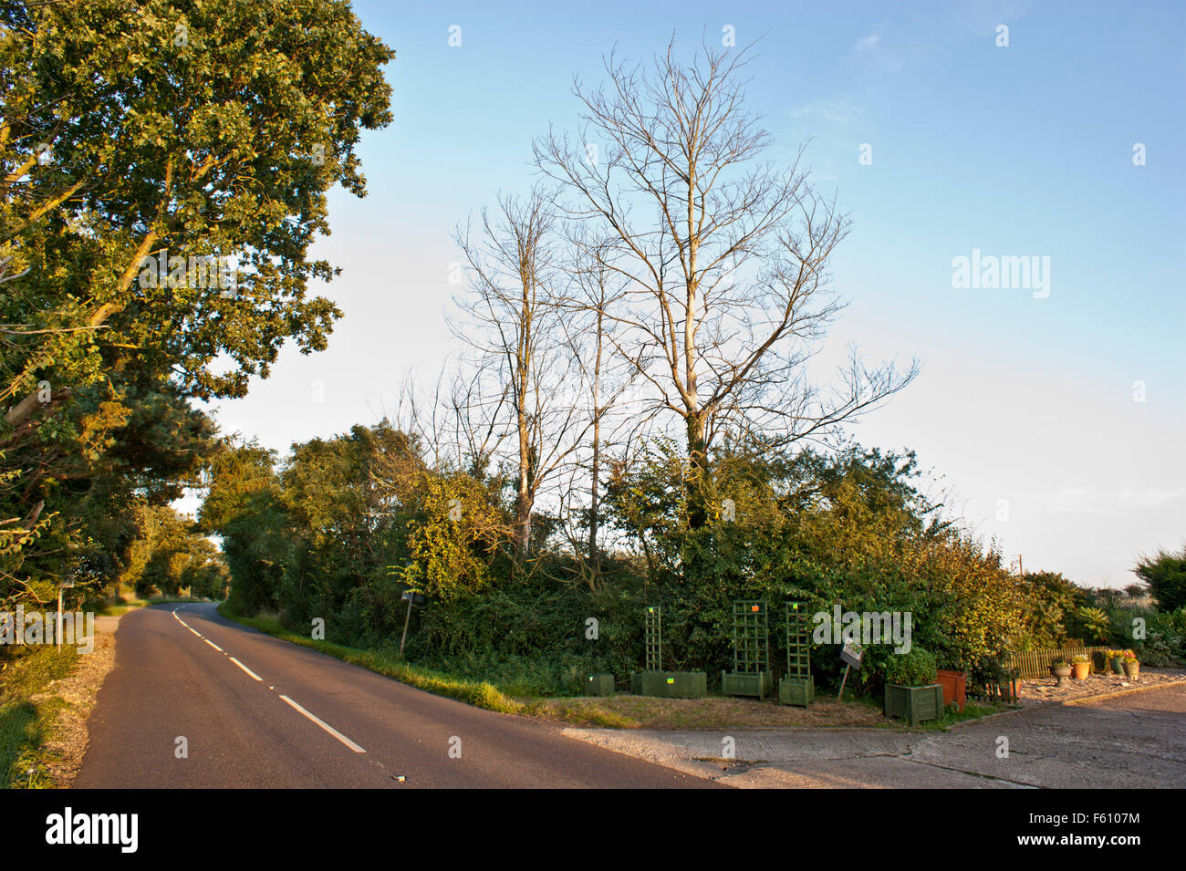Stanningfield hi-res stock photography and images - Alamy