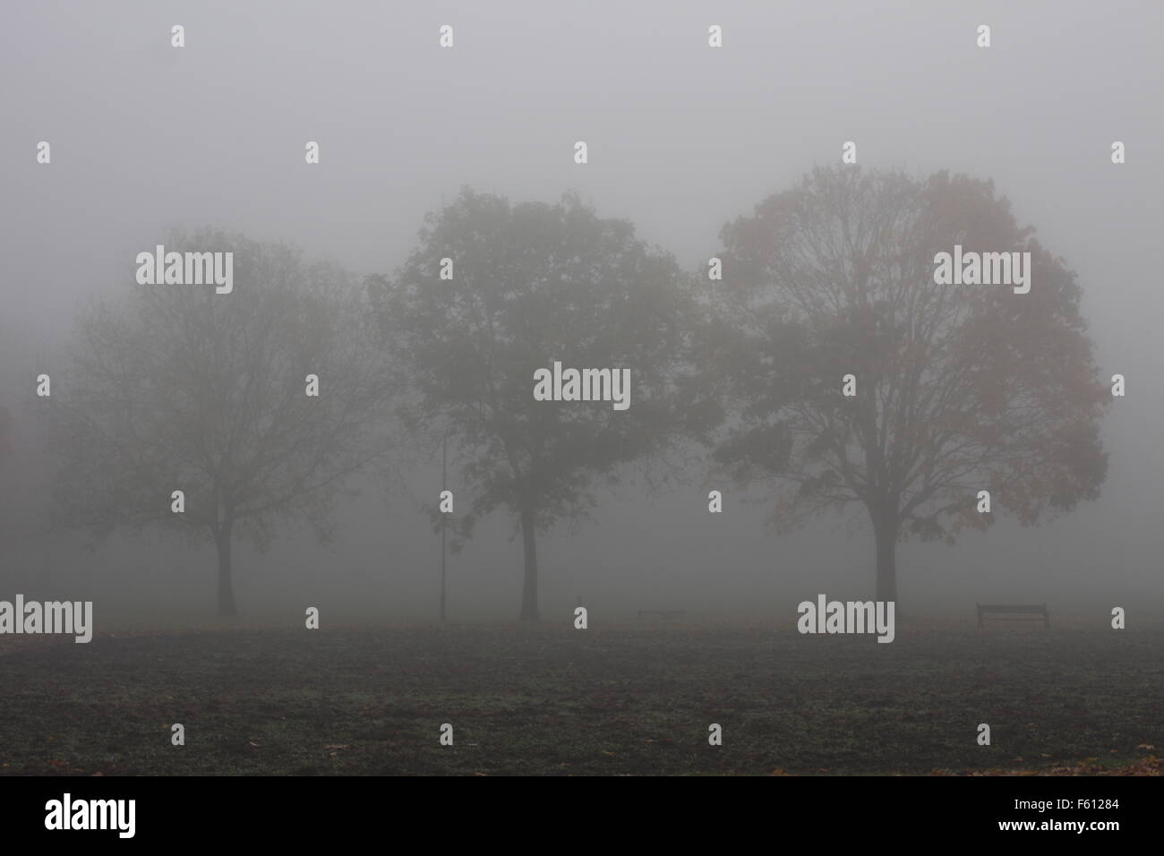 foggy morning in London England UK Stock Photo - Alamy