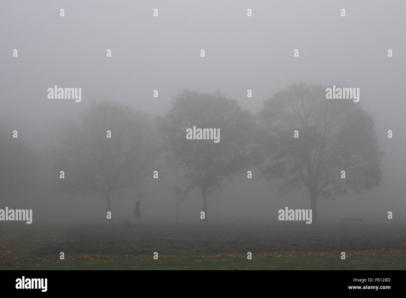 foggy morning in London England UK Stock Photo - Alamy