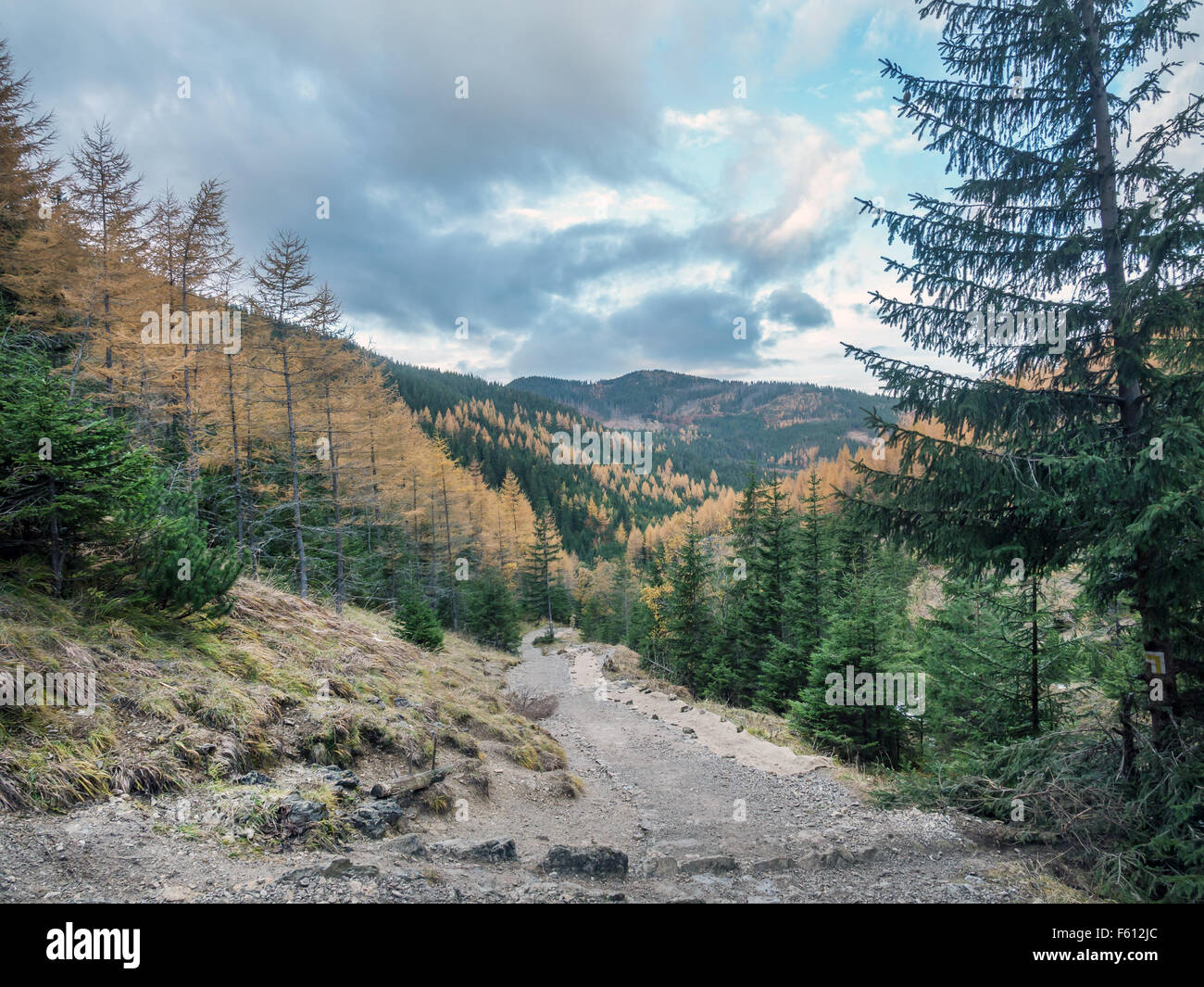 Alpine touristic trail in High Tatra, Poland Stock Photo - Alamy