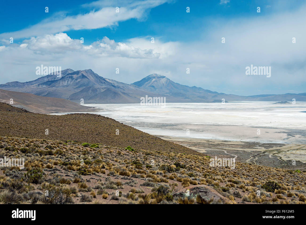 Salt lake, Salar de Surire Natural Monument, Region Arica y Parinacota ...
