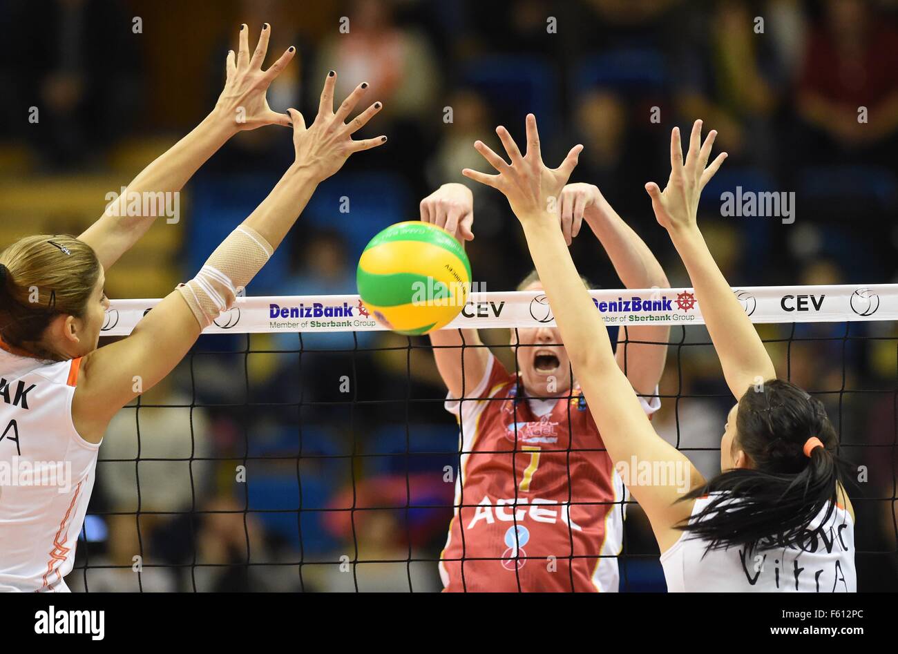 Maja poljak hi-res stock photography and images - Alamy