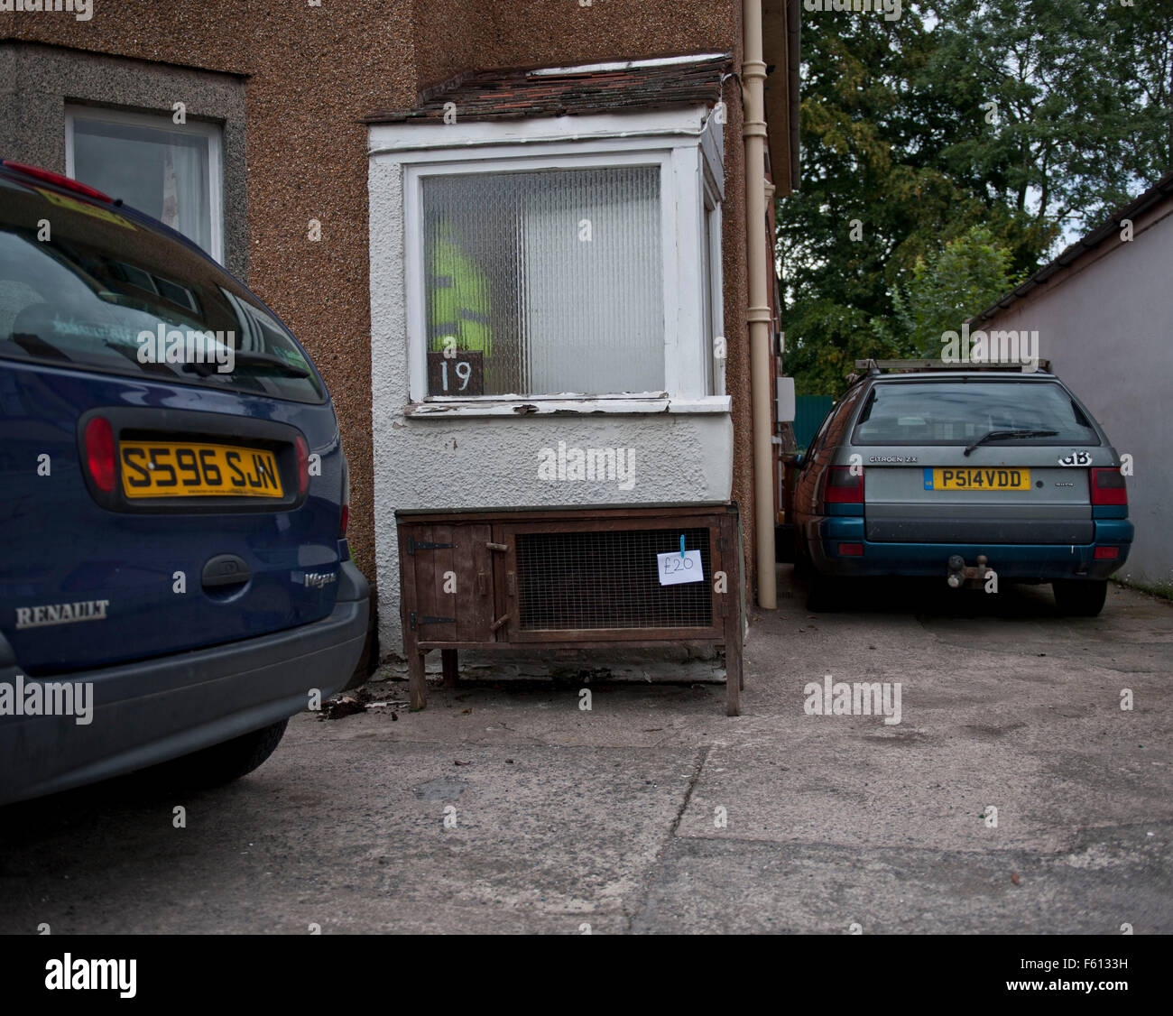 '20 GBP ' rabbit hatch , glastonbury , somerset Stock Photo - Alamy