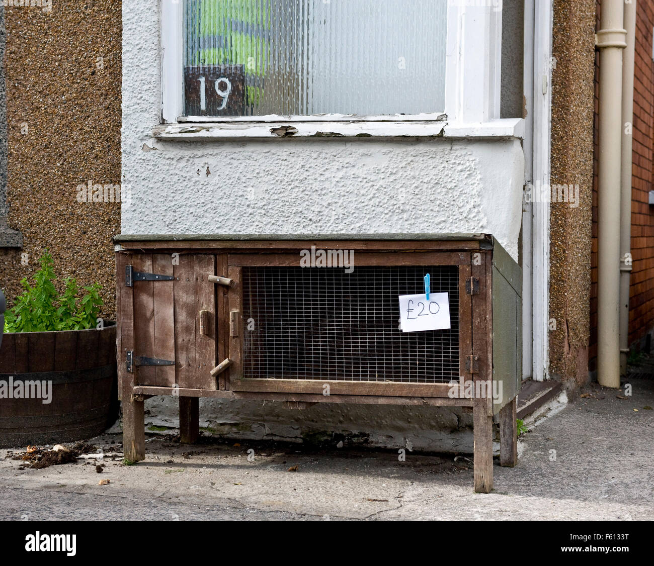 '20 GBP ' rabbit hatch , glastonbury , somerset Stock Photo - Alamy