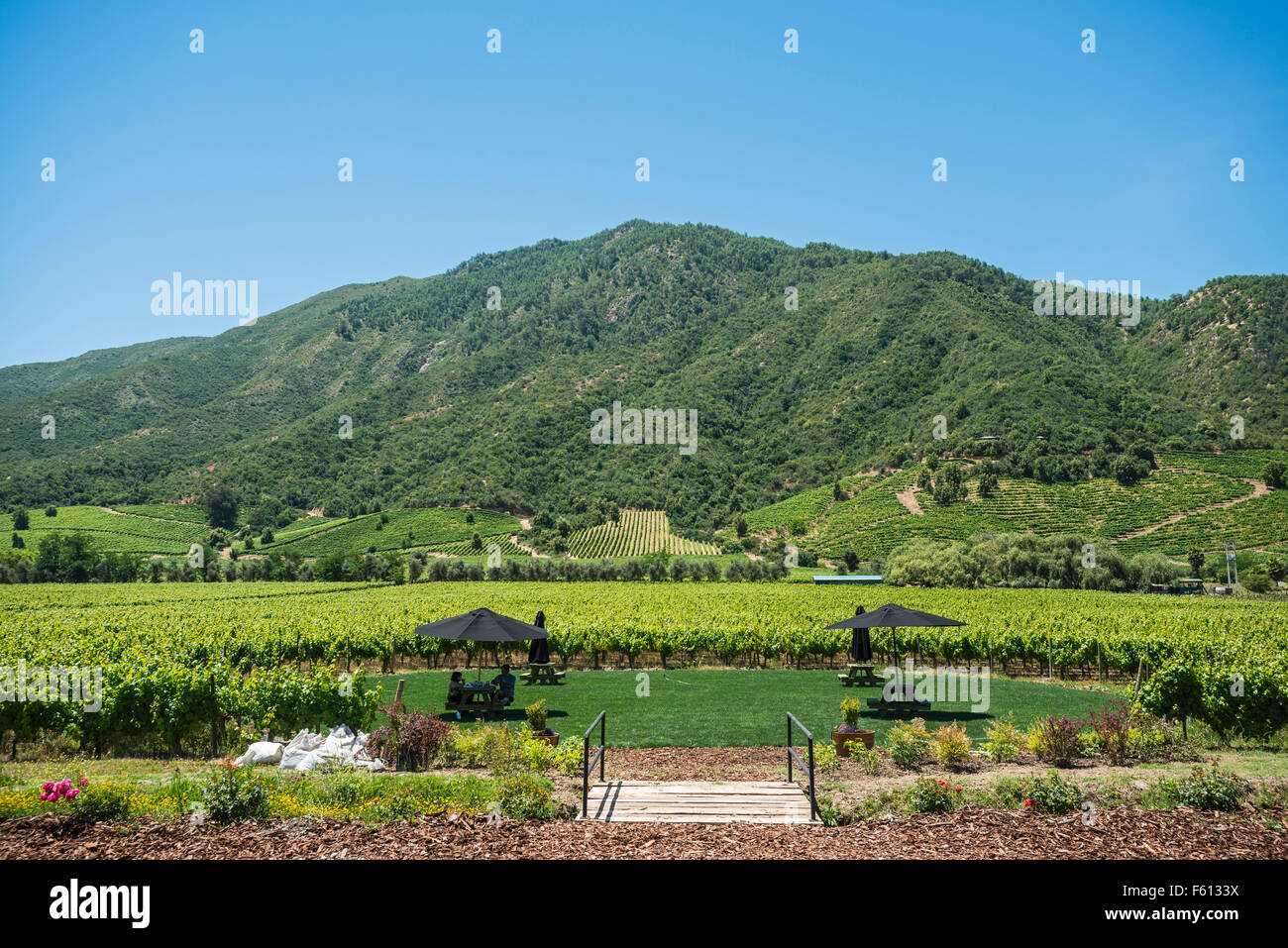 Montes winery chile hi-res stock photography and images - Alamy