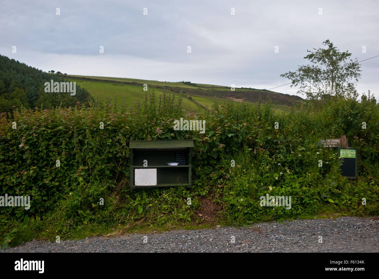 Eskie hi-res stock photography and images - Alamy