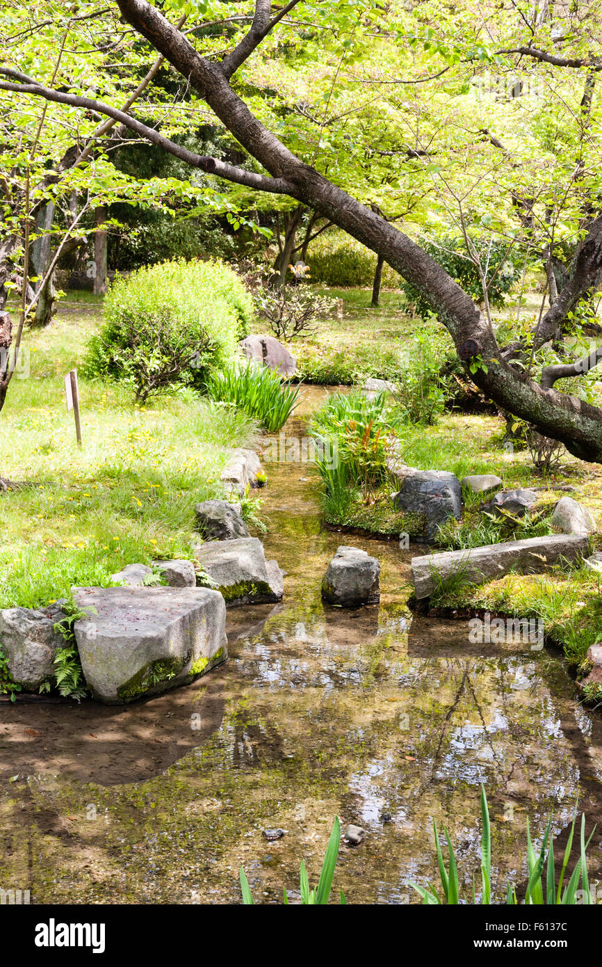 Japanese Gardens Kyoto Japan