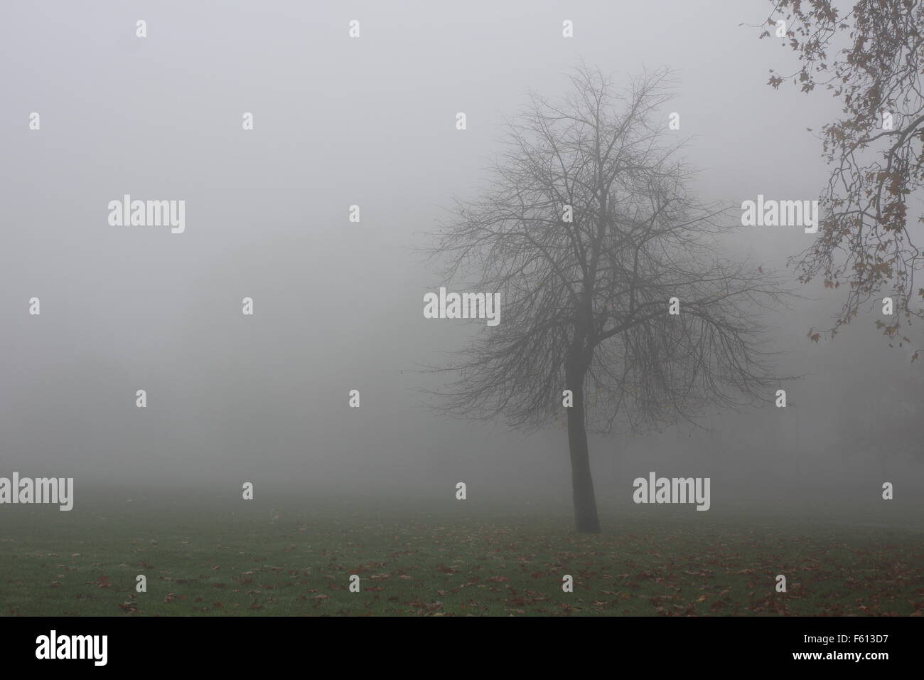 foggy morning in London England UK Stock Photo - Alamy