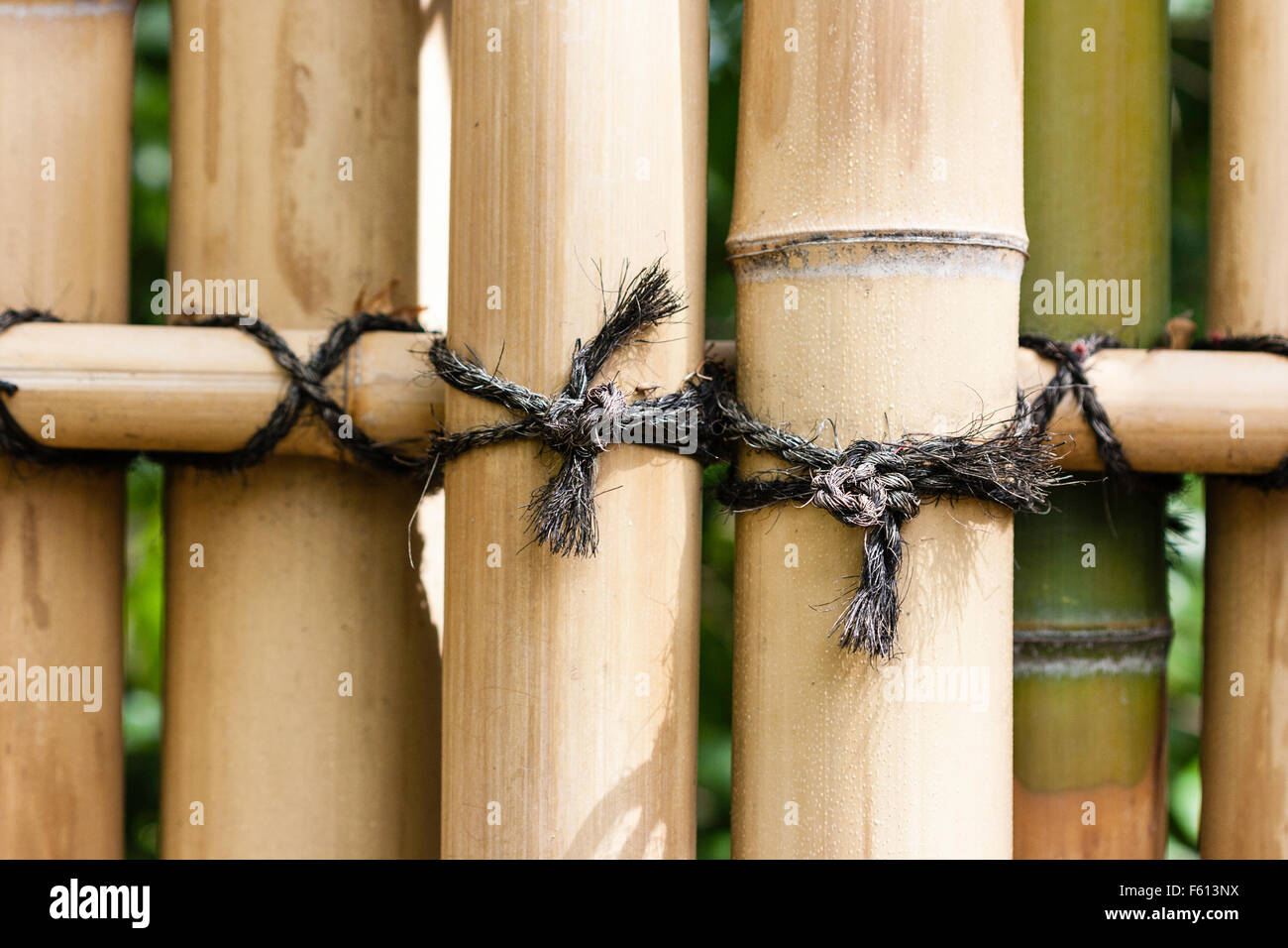 Bamboo knots hi-res stock photography and images - Alamy