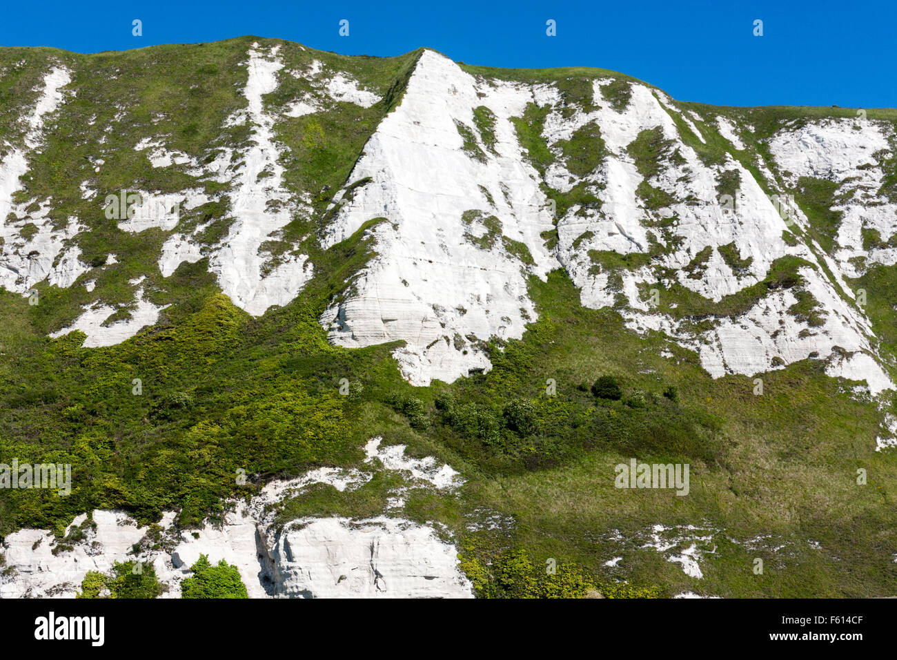 England, Dover. The famous White cliffs, somewhat overgrown, with clear ...