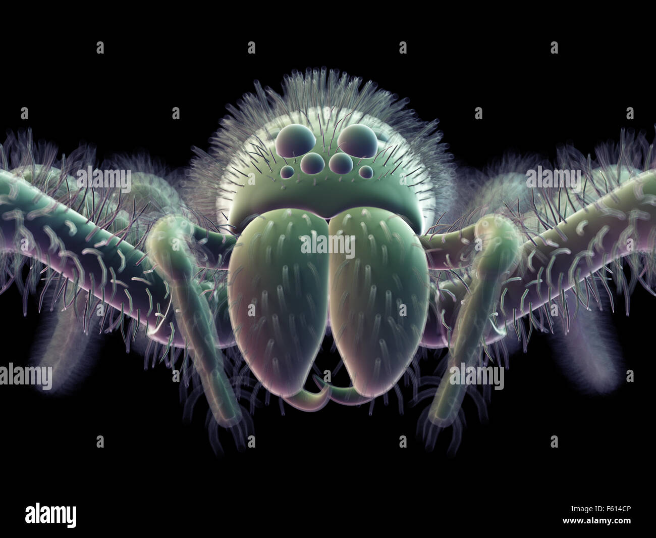 SEM style illustration of a spider Stock Photo - Alamy