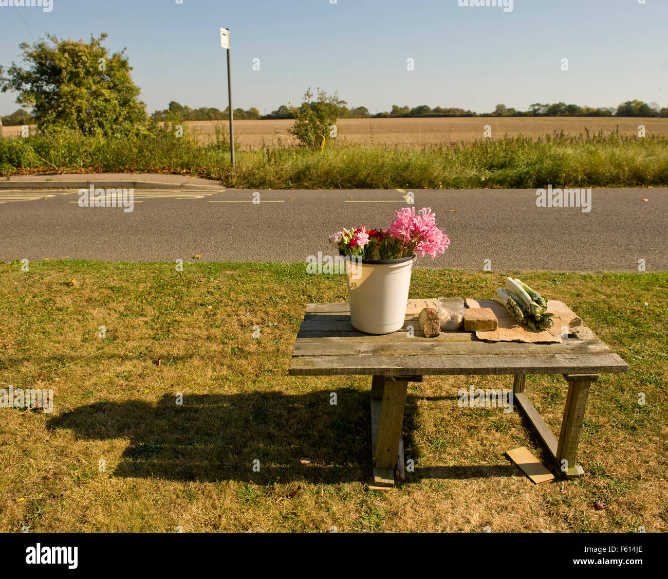 Stanningfield hi-res stock photography and images - Alamy