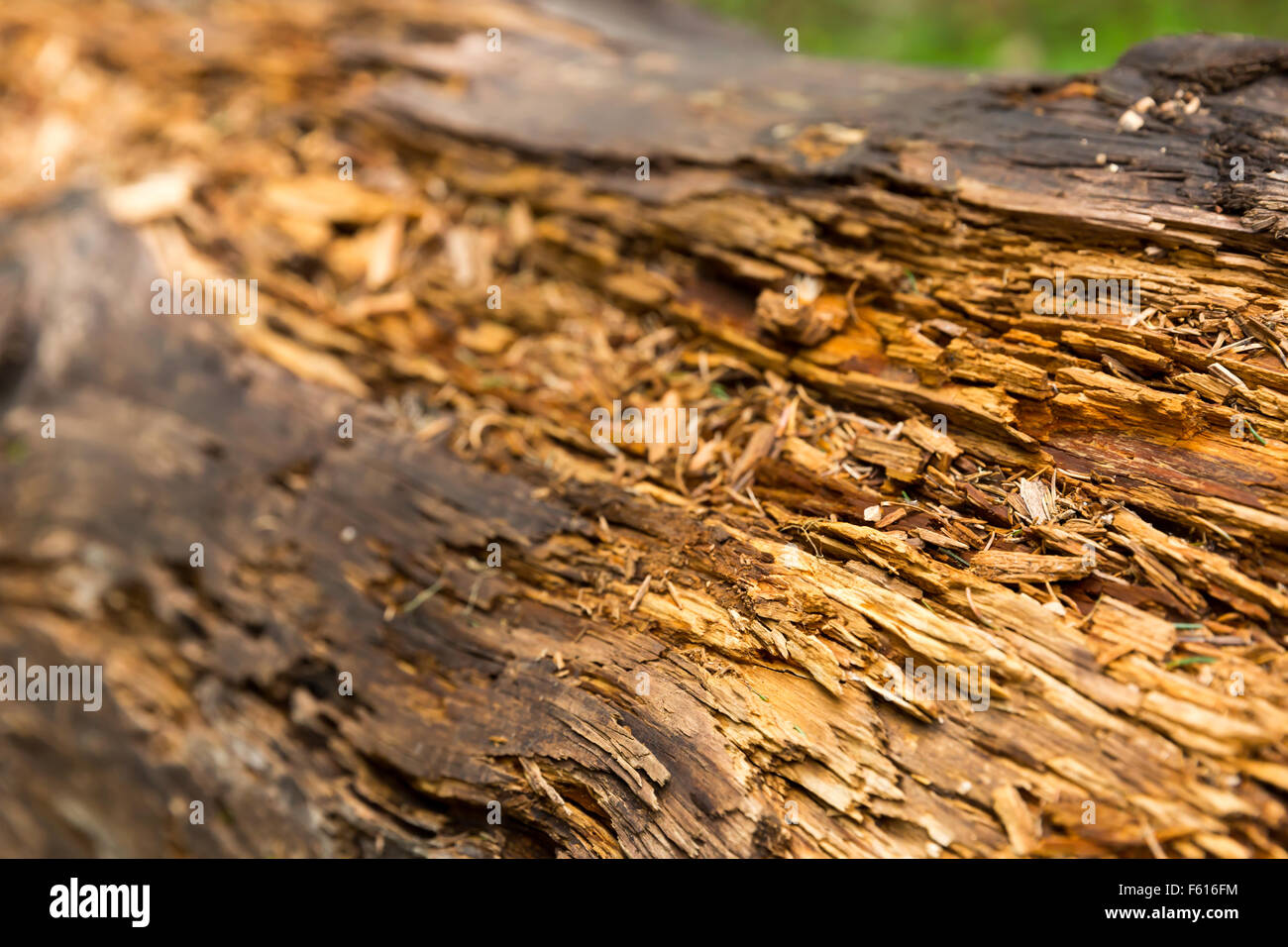 Rotten wood floor hi-res stock photography and images - Alamy