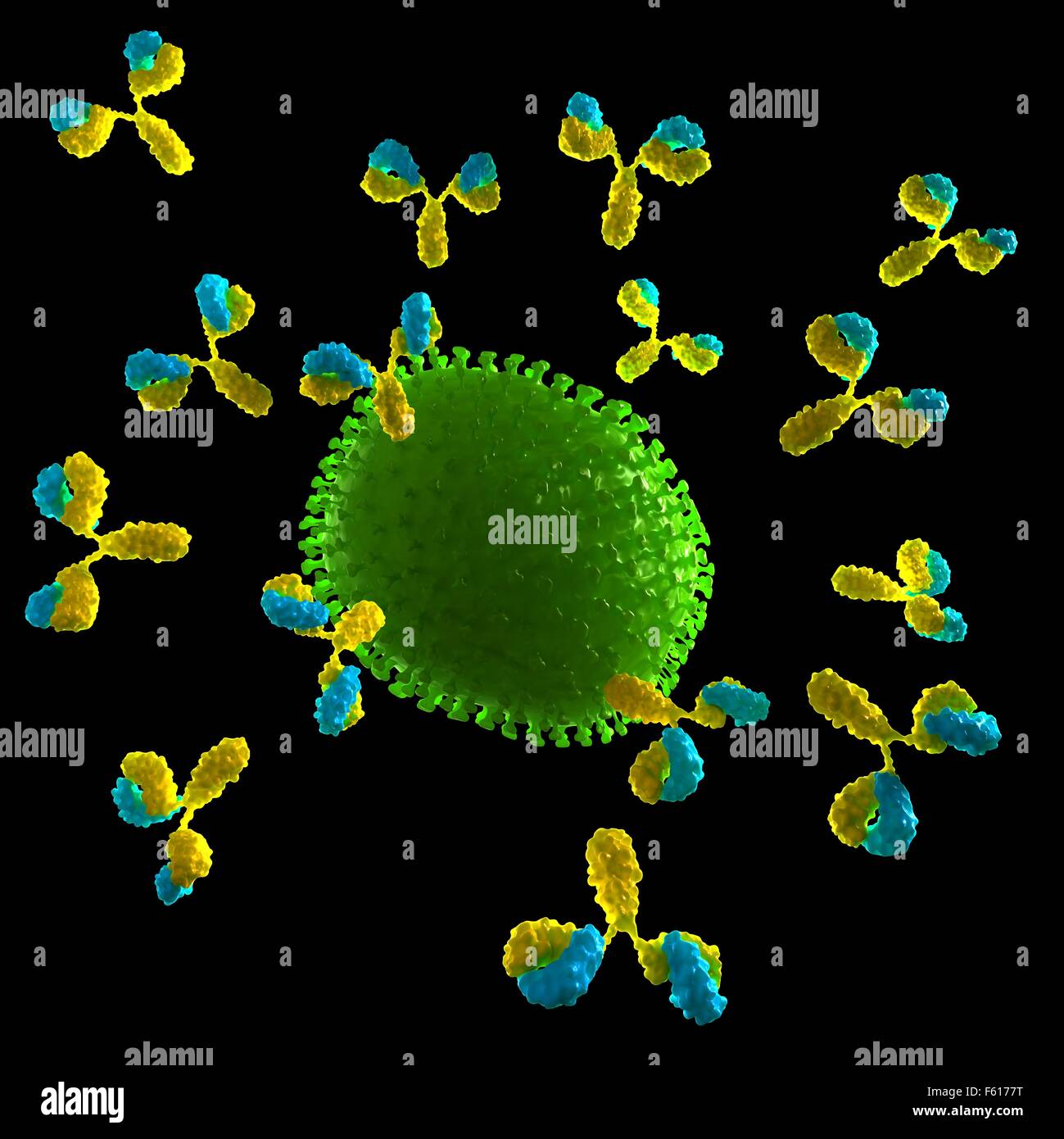 Capsomere hi-res stock photography and images - Alamy