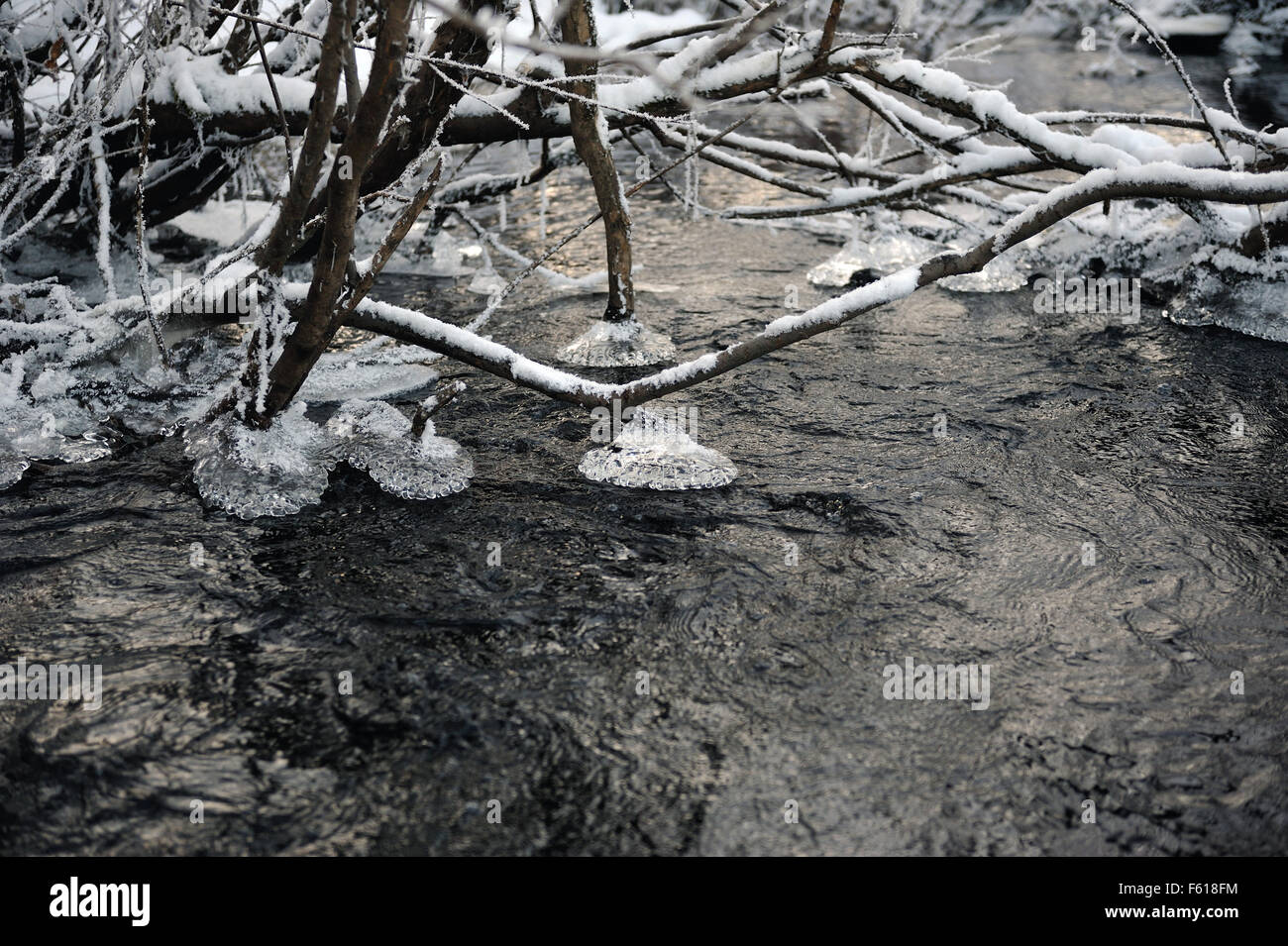 Details of the wild stream on a cold day Stock Photo - Alamy