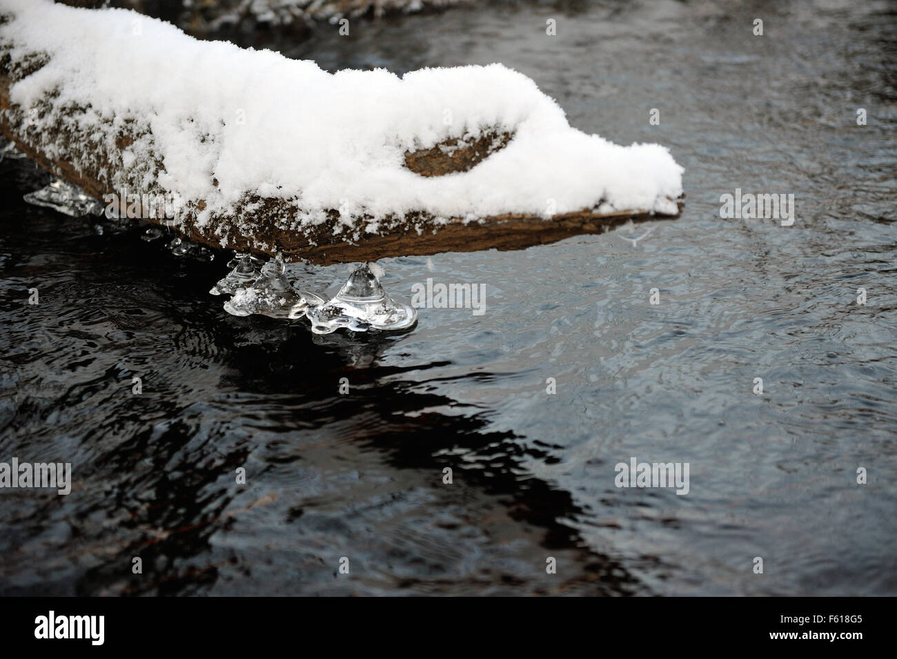 Details of the wild stream on a cold day Stock Photo - Alamy