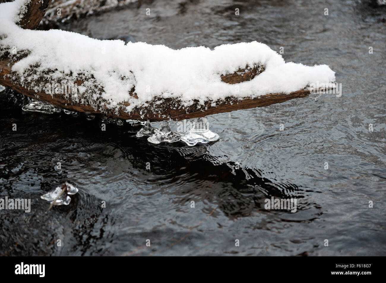 Details of the wild stream on a cold day Stock Photo - Alamy