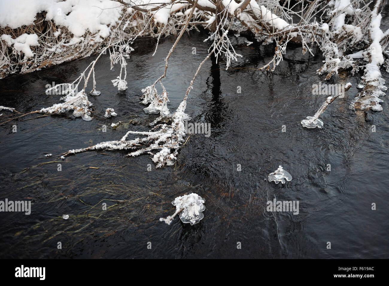 Details of the wild stream on a cold day Stock Photo - Alamy