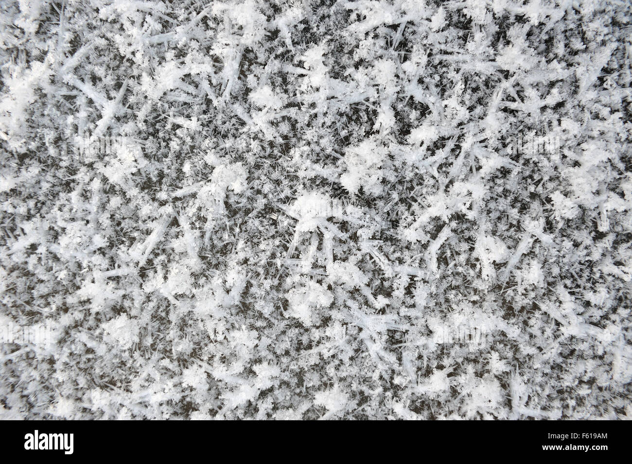 Close up of the hoarfrost texture on ice surface Stock Photo - Alamy