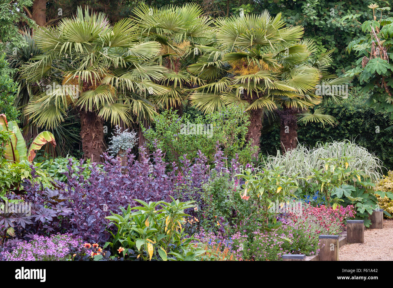 East Ruston Old Vicarage gardens, Norwich, Norfolk, UK. The Exotic ...