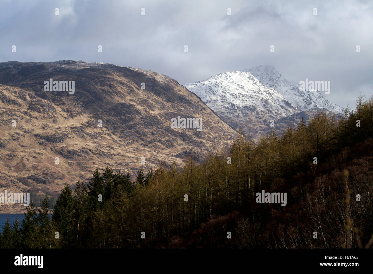 Scottish hillside hi-res stock photography and images - Alamy
