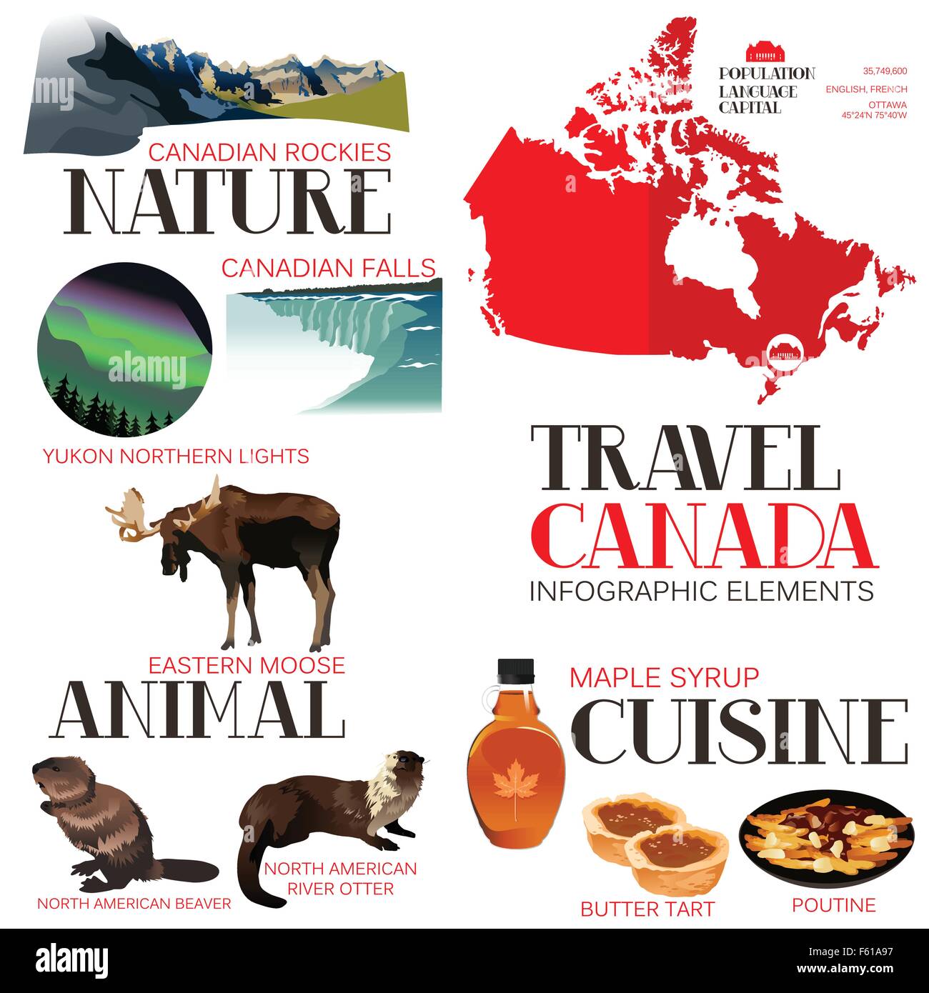 A vector illustration of Infographic elements for traveling to Canada ...