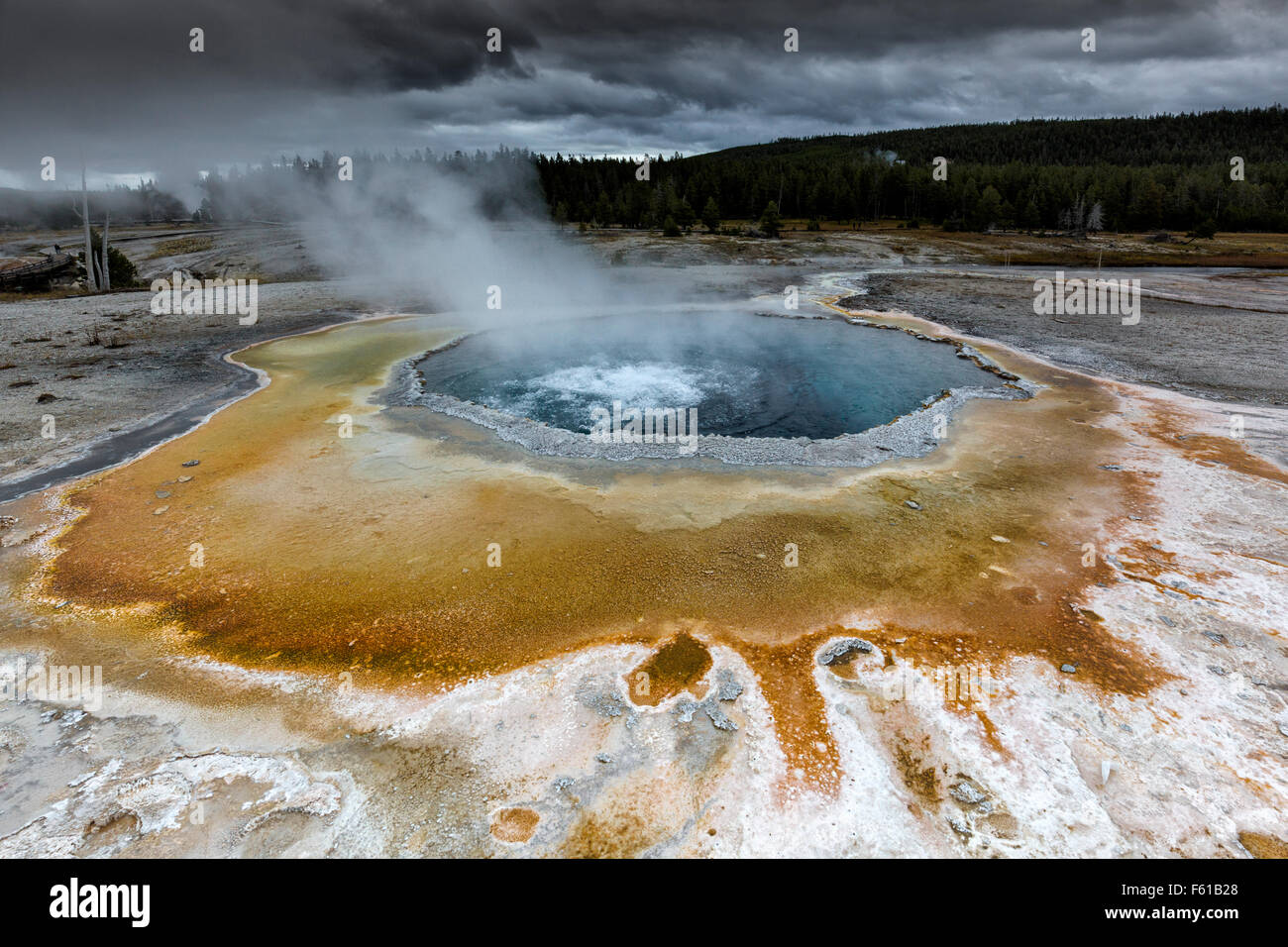 Crested pool hi-res stock photography and images - Alamy