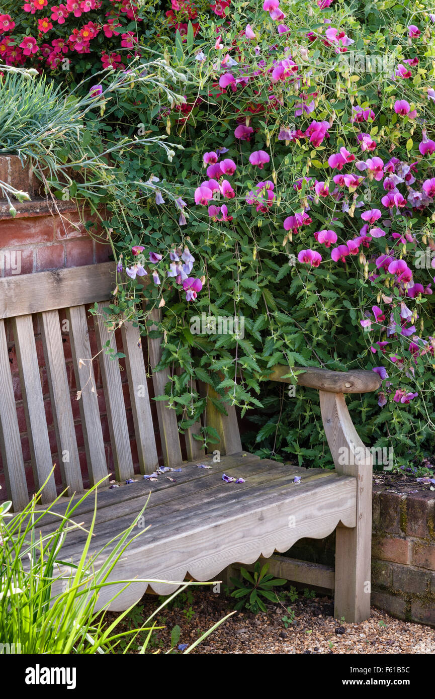 East Ruston Old Vicarage gardens, Norwich, Norfolk, UK. The Sunk Garden ...