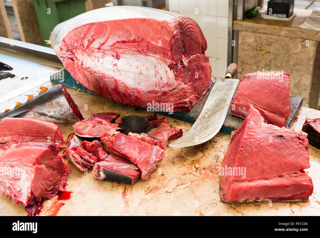 Bone for tuna hi-res stock photography and images - Alamy