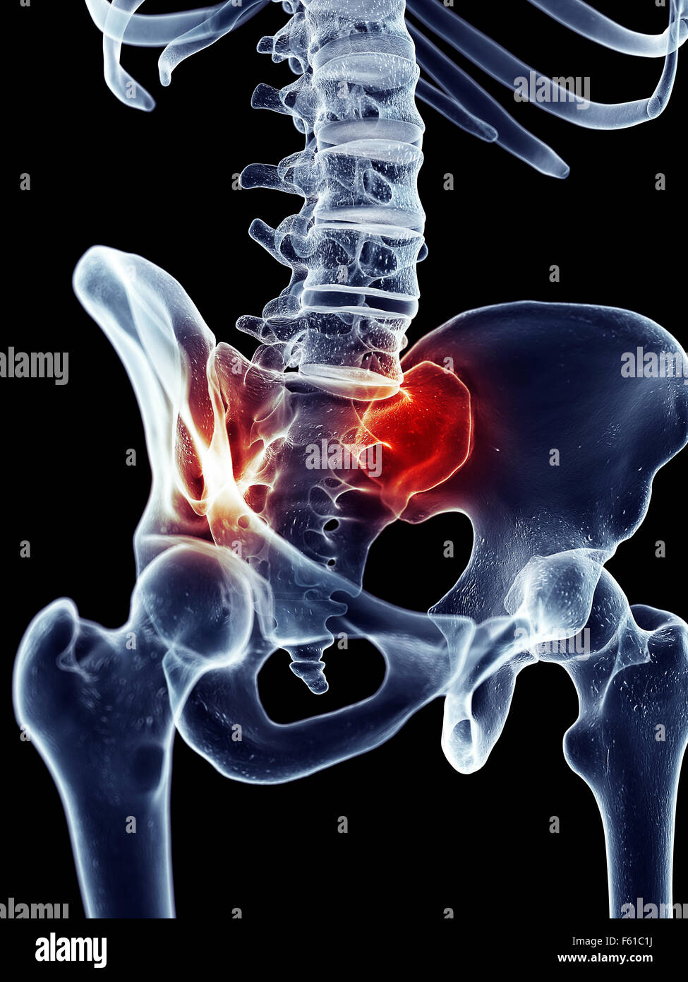 Sacroiliac joint hi-res stock photography and images - Alamy