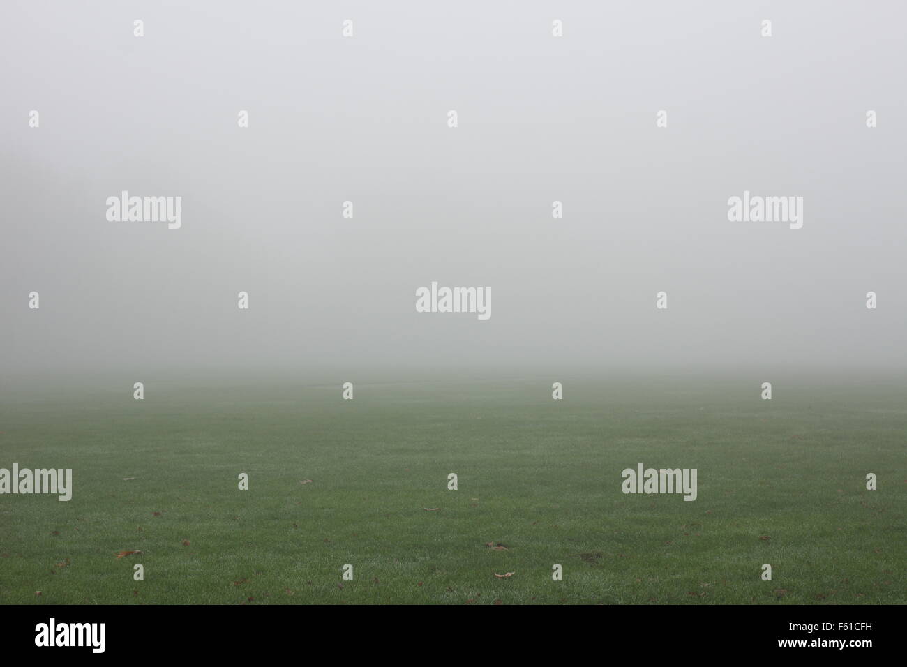 foggy morning in London England UK Stock Photo - Alamy