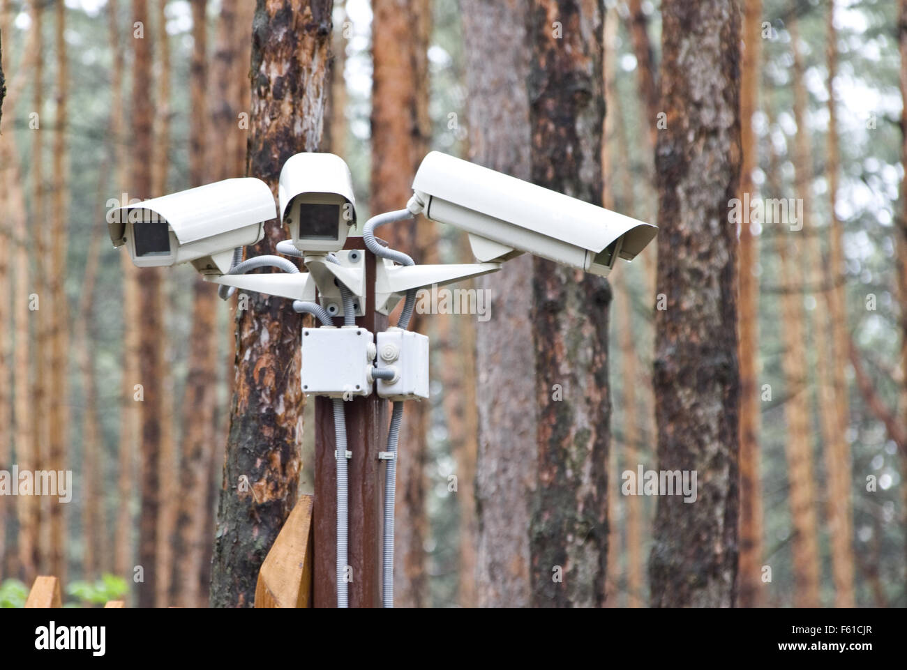 Internet surveillance image hi-res stock photography and images - Alamy