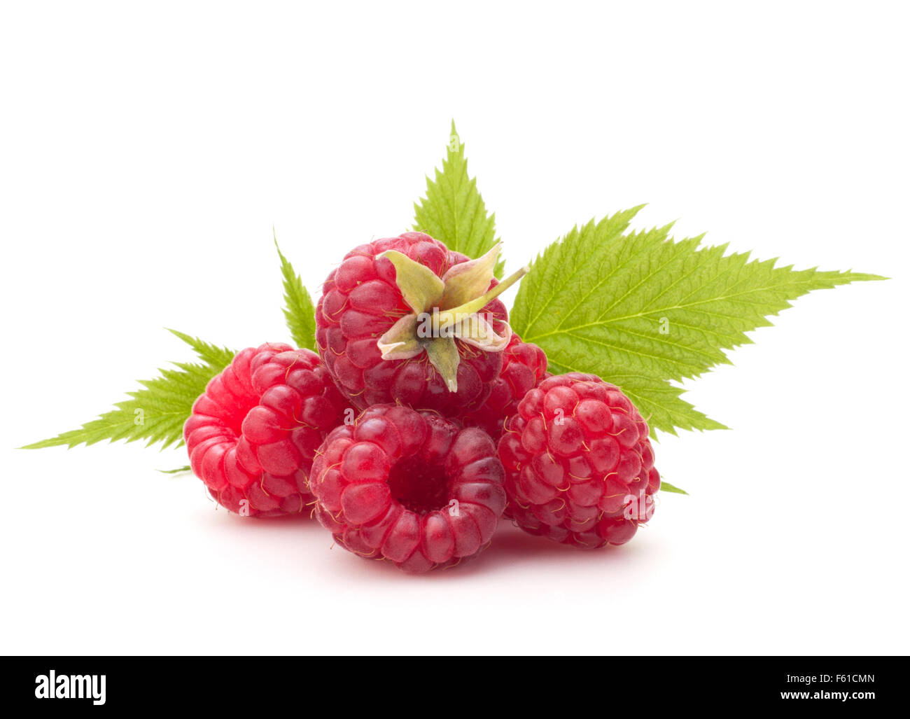 Sweet raspberry isolated on white background cutout Stock Photo - Alamy