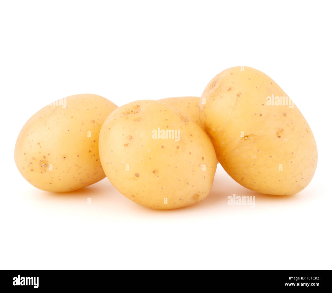 new potato tuber isolated on white background cutout Stock Photo - Alamy