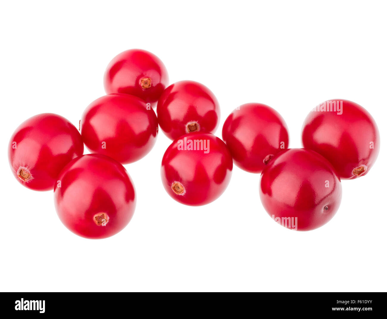 cranberry isolated on white background cutout Stock Photo - Alamy