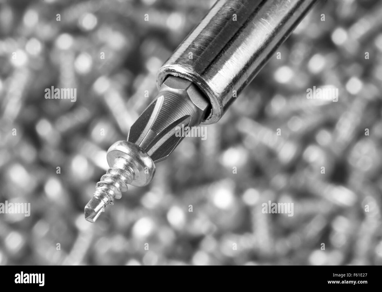 Screwdriver in hand Black and White Stock Photos & Images - Alamy