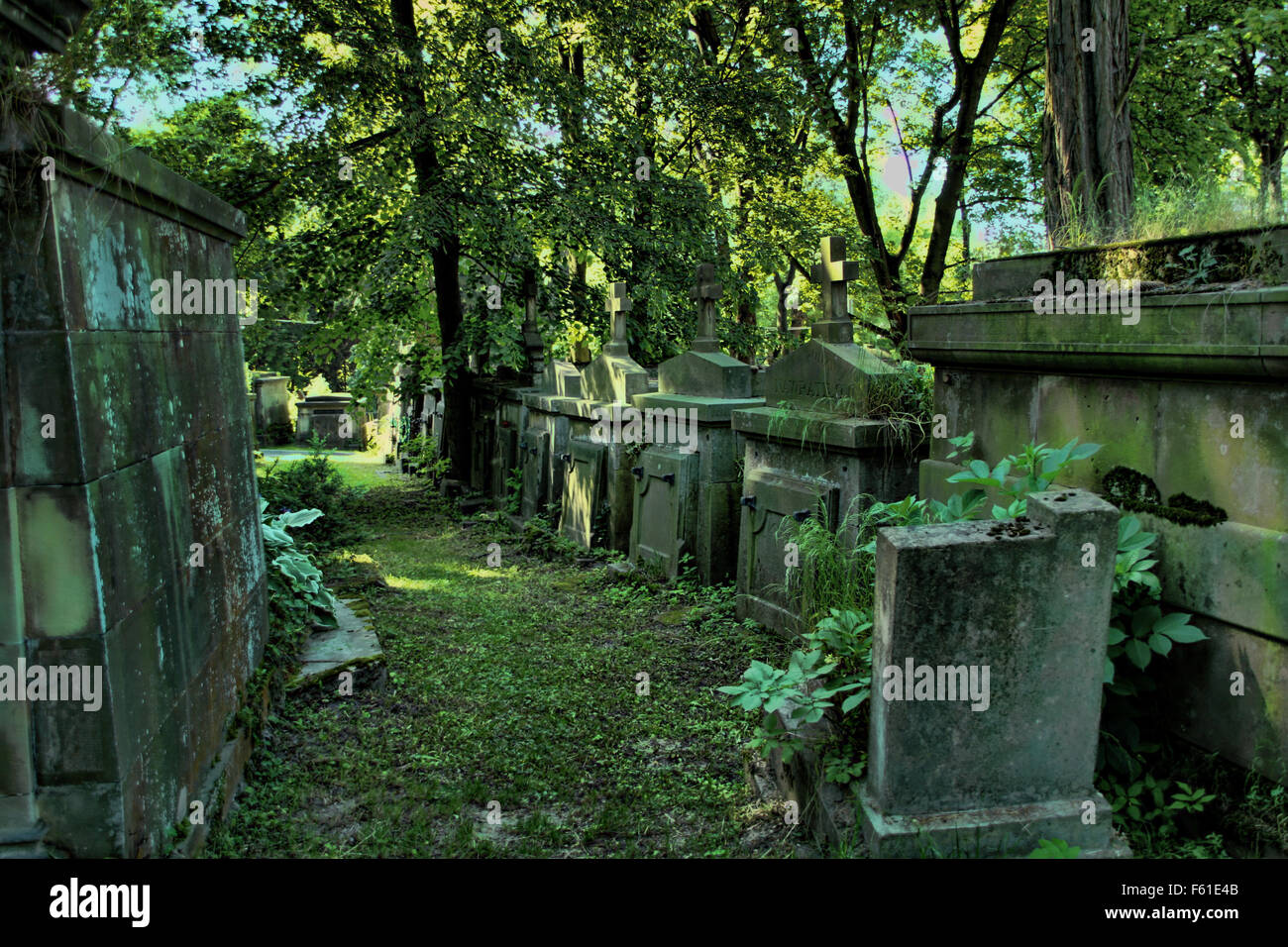 Old cemetery with damaged graves in forest Stock Photo - Alamy