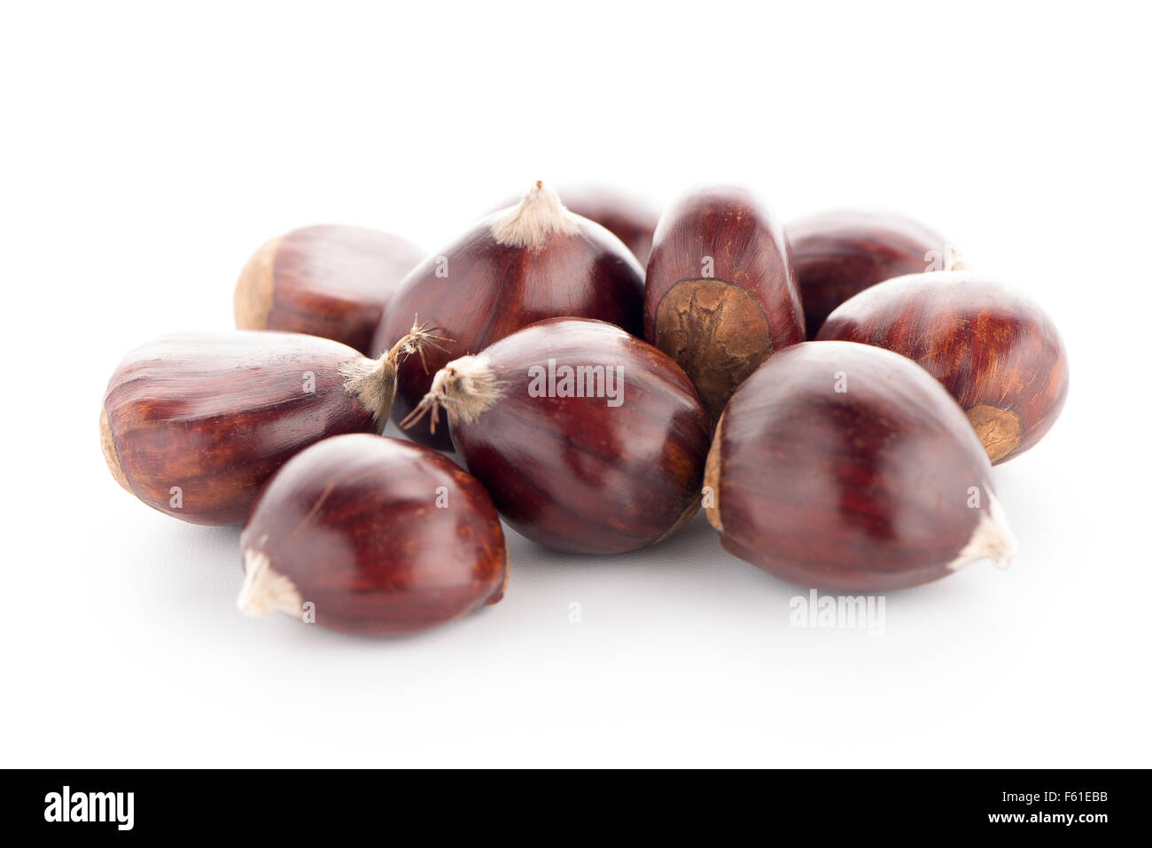 Chestnuts with shell isolated on white background Stock Photo - Alamy