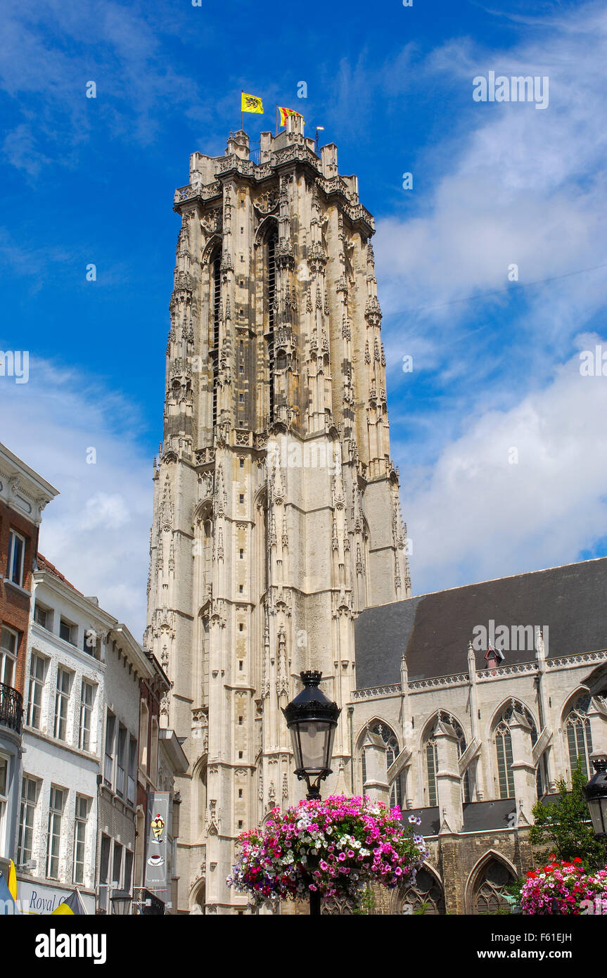 St Rombout Cathedral in the Grote Markt (Main Square), Mechelen ...