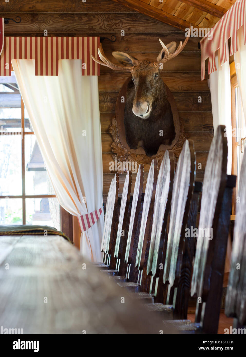 Trophy hunters at home hi-res stock photography and images - Alamy