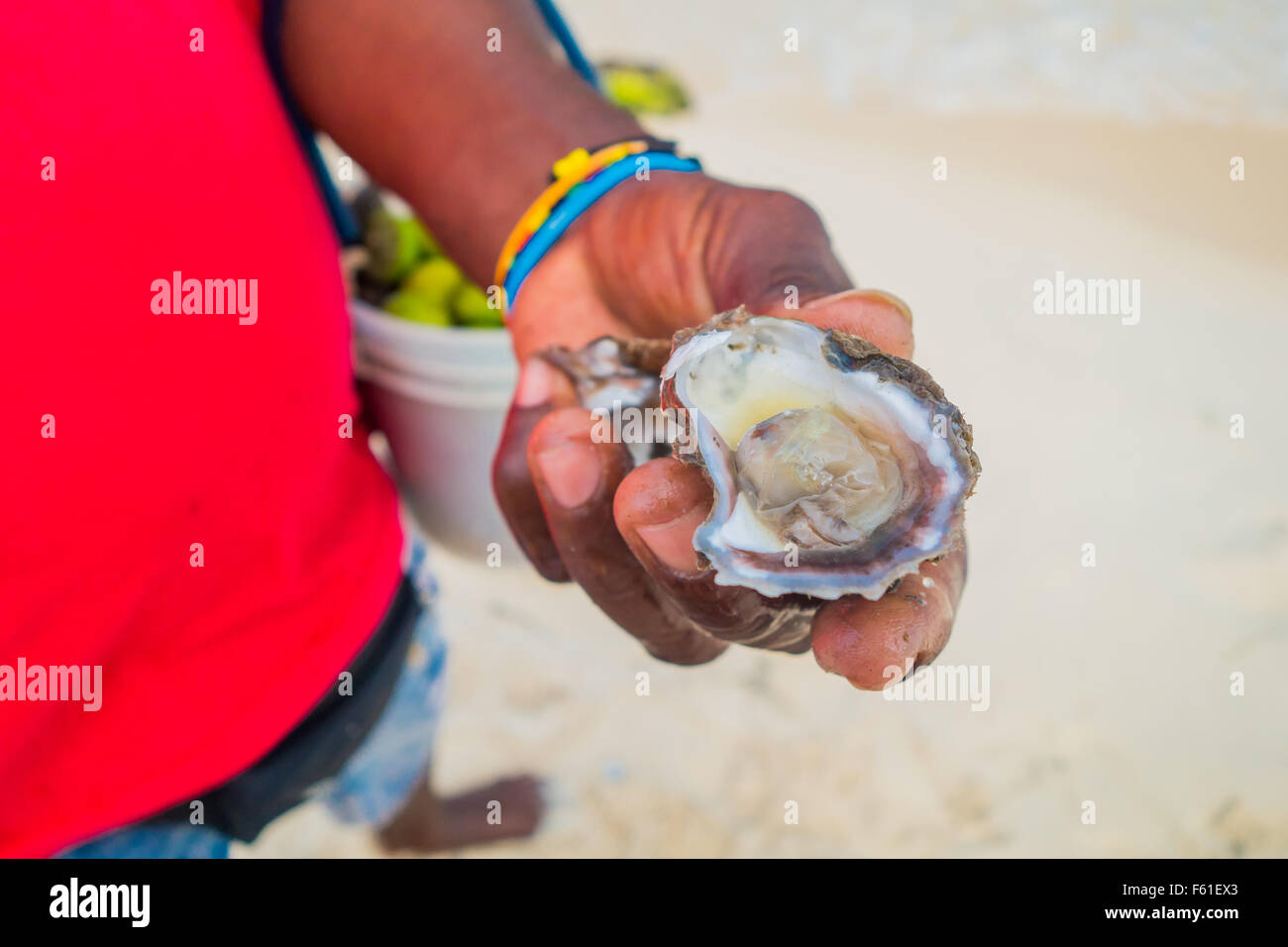 Fresh clam opened by beach vendor in Playa Blanca, Colombia Stock Photo ...